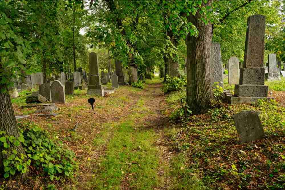 Central Cemetery in Vienna: Info, Graves of Honor & Admission