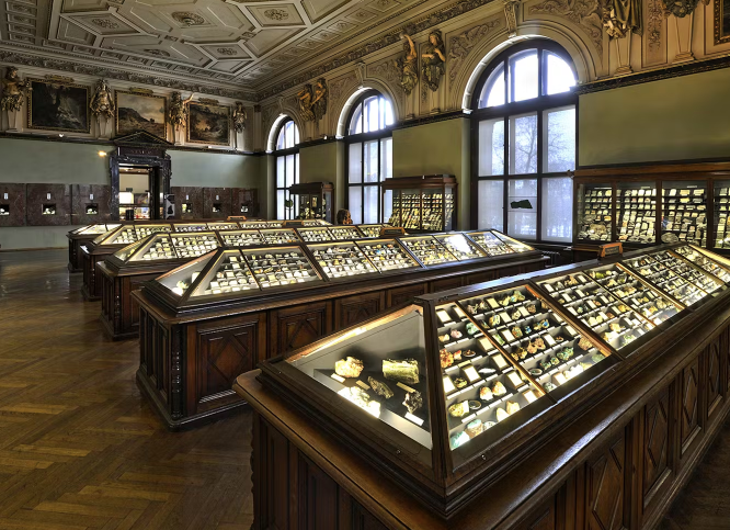 Naturhistorisches Museum Wien Tickets buchen - 2026