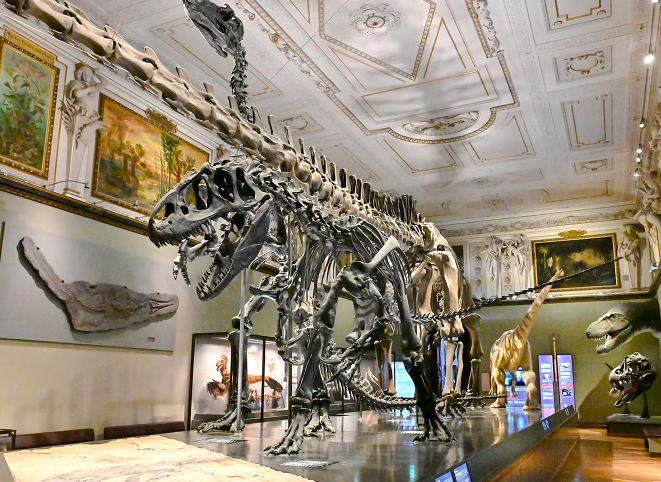 Naturhistorisches Museum Wien Tickets buchen - 2026
